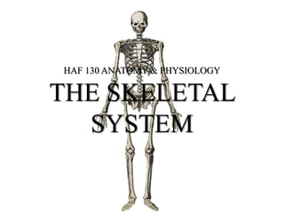 THE SKELETAL SYSTEM - The functions of bone Classification and ...