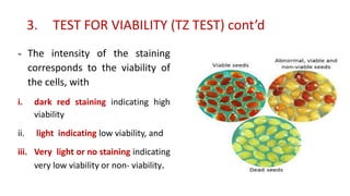 5. SEED TESTING TECHNIUQUES POWER POINT.pptx
