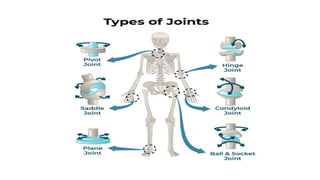 **Joint Classification: Simplifying Types and Functions** | PPTX