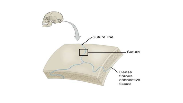 **Joint Classification: Simplifying Types and Functions** | PPT
