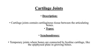 **Joint Classification: Simplifying Types and Functions** | PPTX