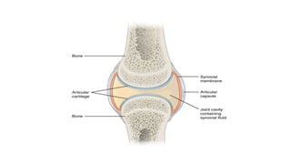**Joint Classification: Simplifying Types and Functions** | PPT