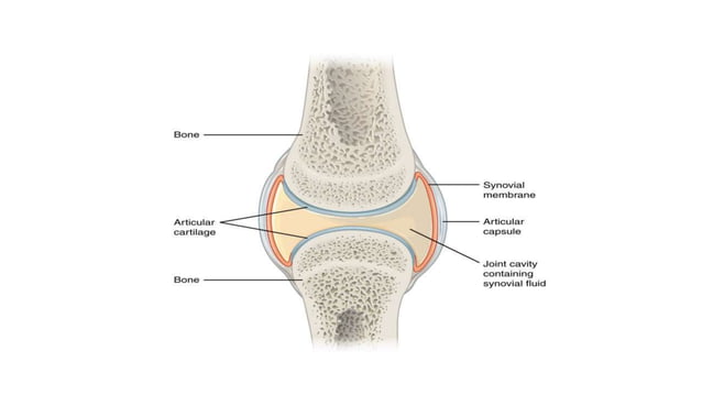 **Joint Classification: Simplifying Types and Functions** | PPT