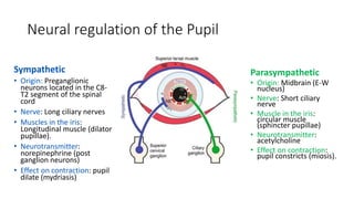Miotics, Mydriatics, Cycloplegics Used in Ophthalmic Practice | PPTX