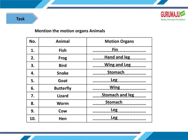 IPAS Animal Motion Organs by guru maju.ppsx