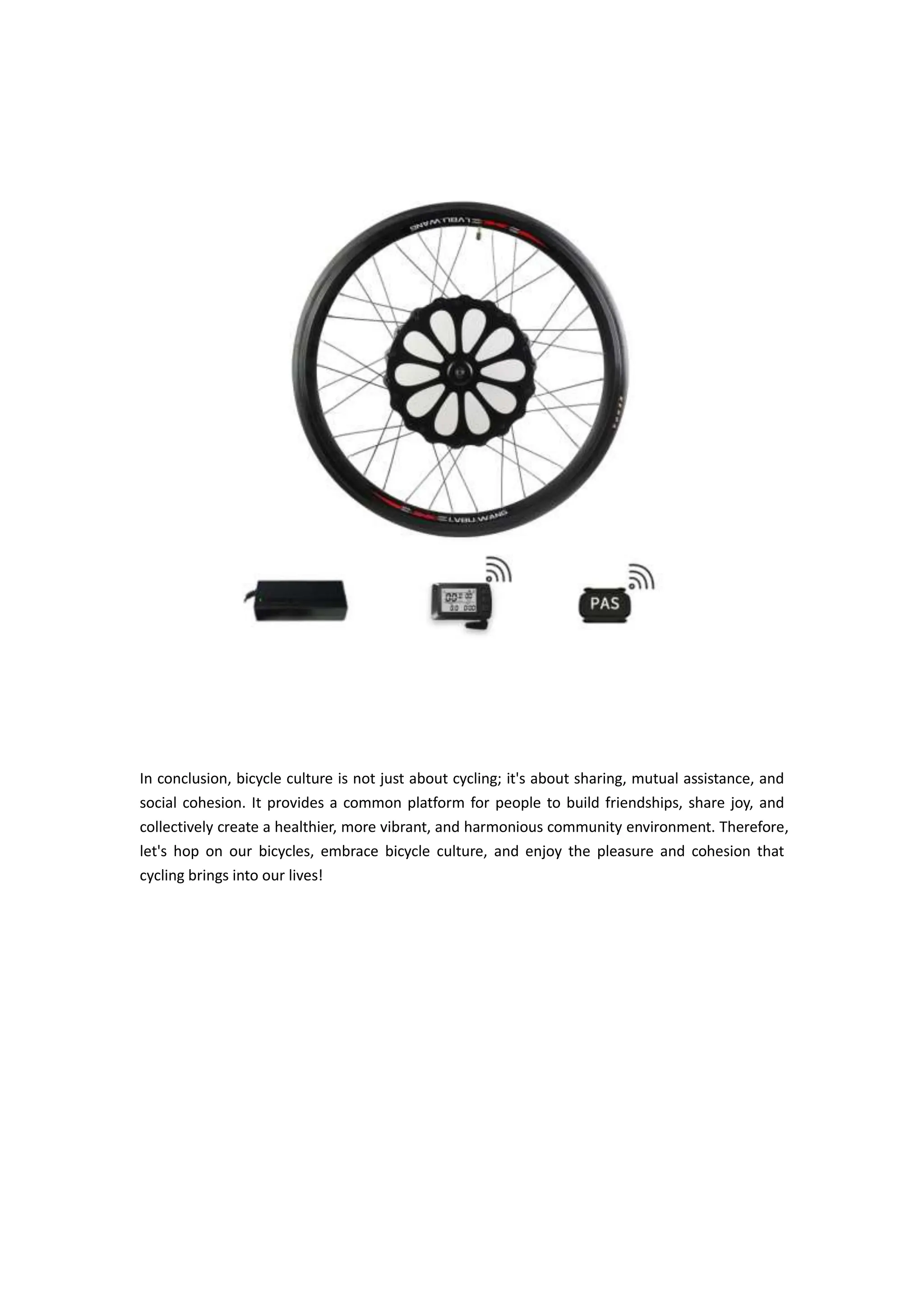 Bicycle Culture: Embracing the Joy and Cohesion of Cycling into Life | DOCX