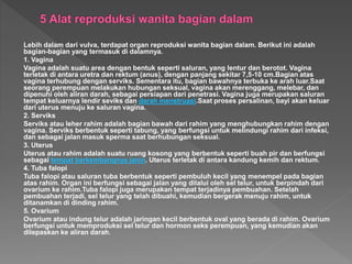 5.A. PPT _KESEHATAN_REPRODUKSI_REMAJA 01.pptx