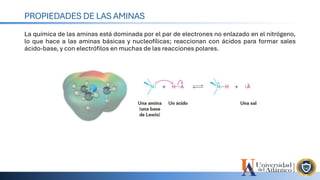 aminas quimica organica- para ingenieros quimios | PDF