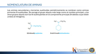 aminas quimica organica- para ingenieros quimios | PDF