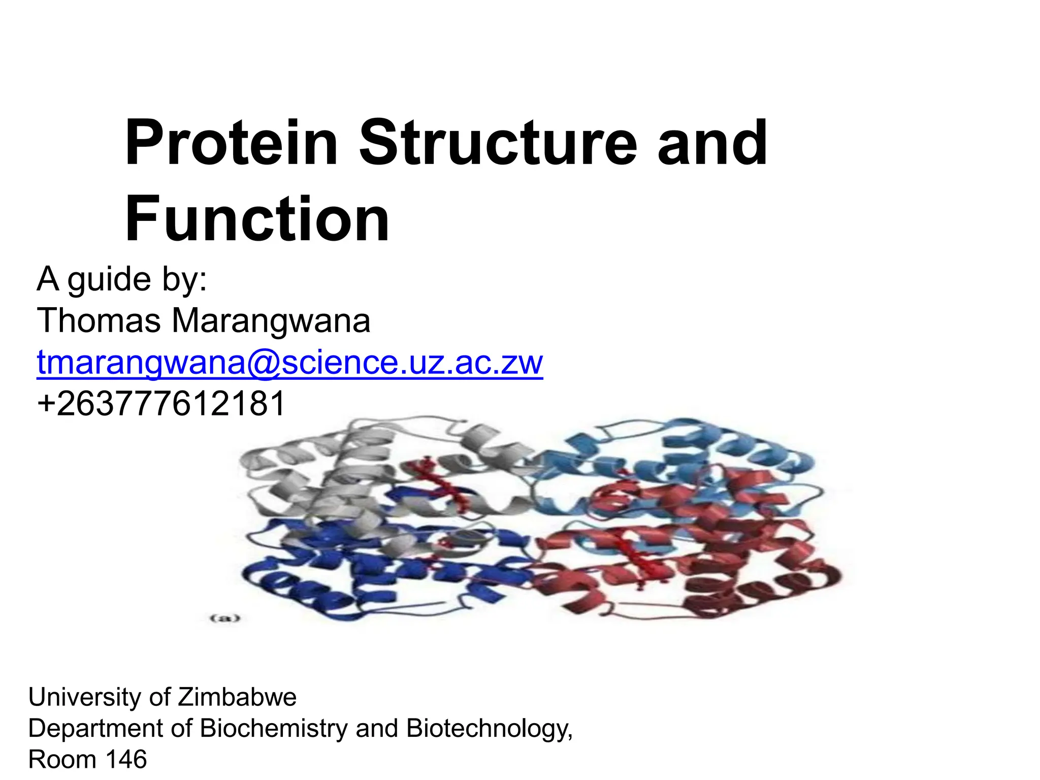 5. Protein structure and function and amino.pptx