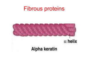 5. Protein structure and function and amino.pptx