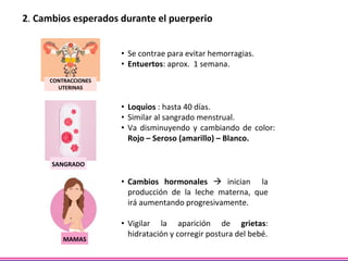 Cuidados postparto maternos y Recién Nacido | PDF