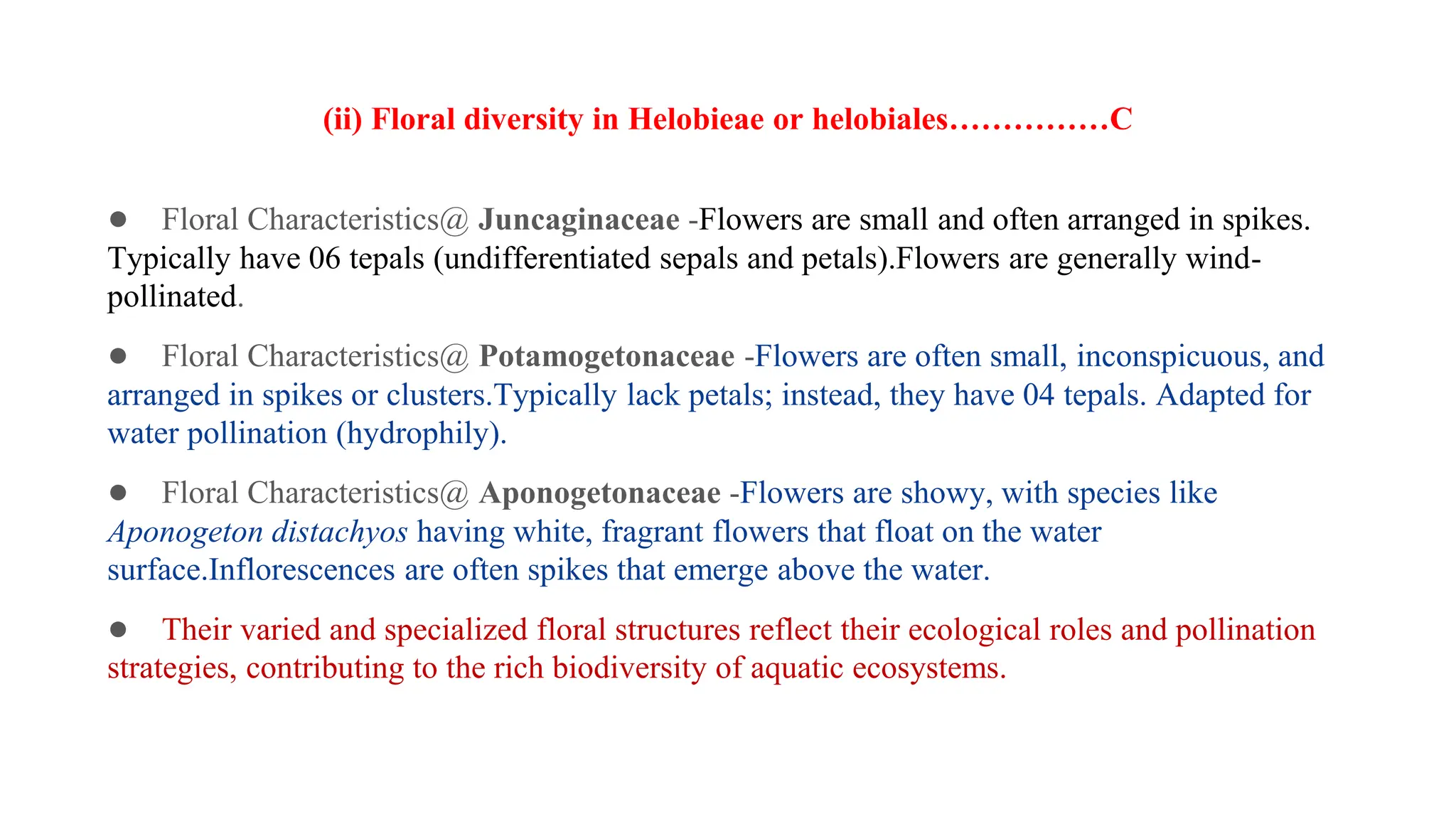 Helobieae or helobiales : Salient features, floral & family diversity ...