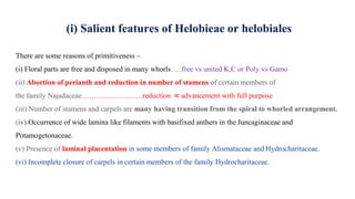 Helobieae or helobiales : Salient features, floral & family diversity ...