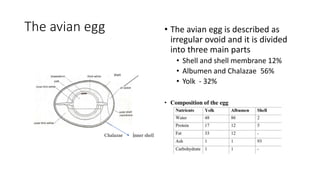 5. INCUBATION AND HATCHERY PRACTICES.pptx