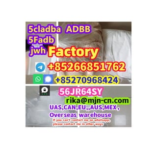 Supply yellow powder 5cladba adbb 5CL-adb-b adbf adb-f online in stock ...
