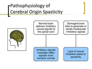 5. Spasticity causes and neurosurgical management .pptx