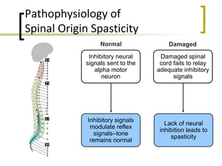 5. Spasticity causes and neurosurgical management .pptx