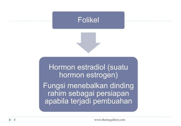 fisiologi menstruasi menstruasi pada wanita | PPT