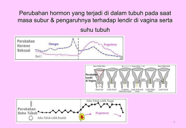 fisiologi menstruasi menstruasi pada wanita | PPT