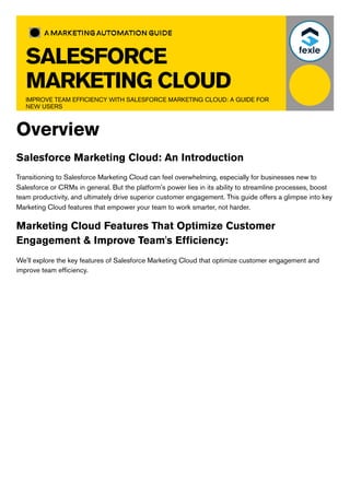 Salesforce Marketing Cloud Implementation by FEXLE - Automate Marketing ...