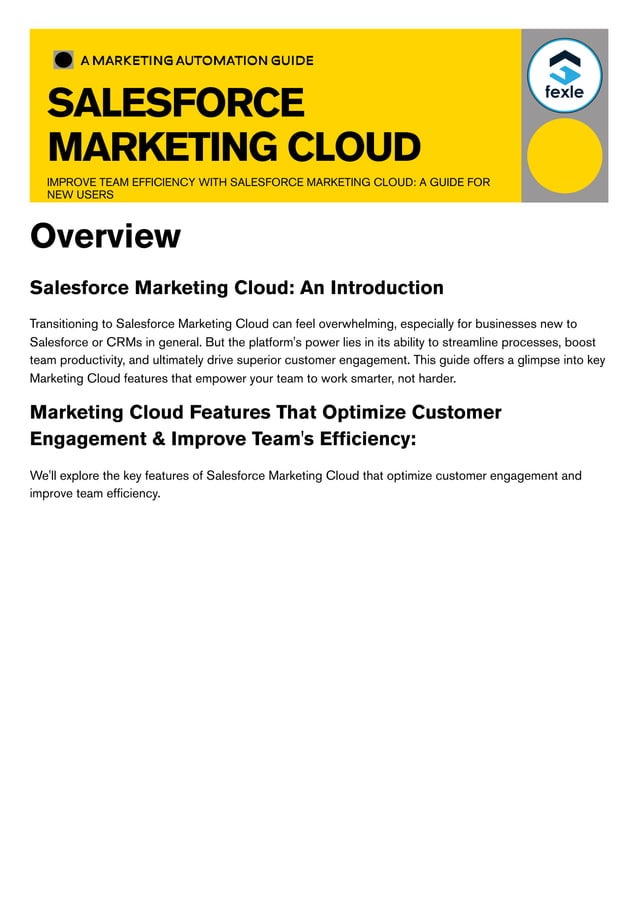 Salesforce Marketing Cloud Implementation by FEXLE - Automate Marketing Workflows and Free Up ...