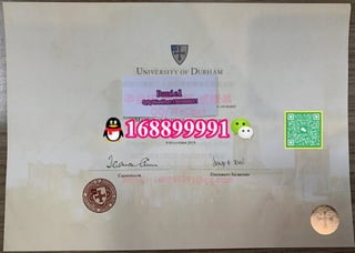 Durham University degree offer diploma Transcript | PPT