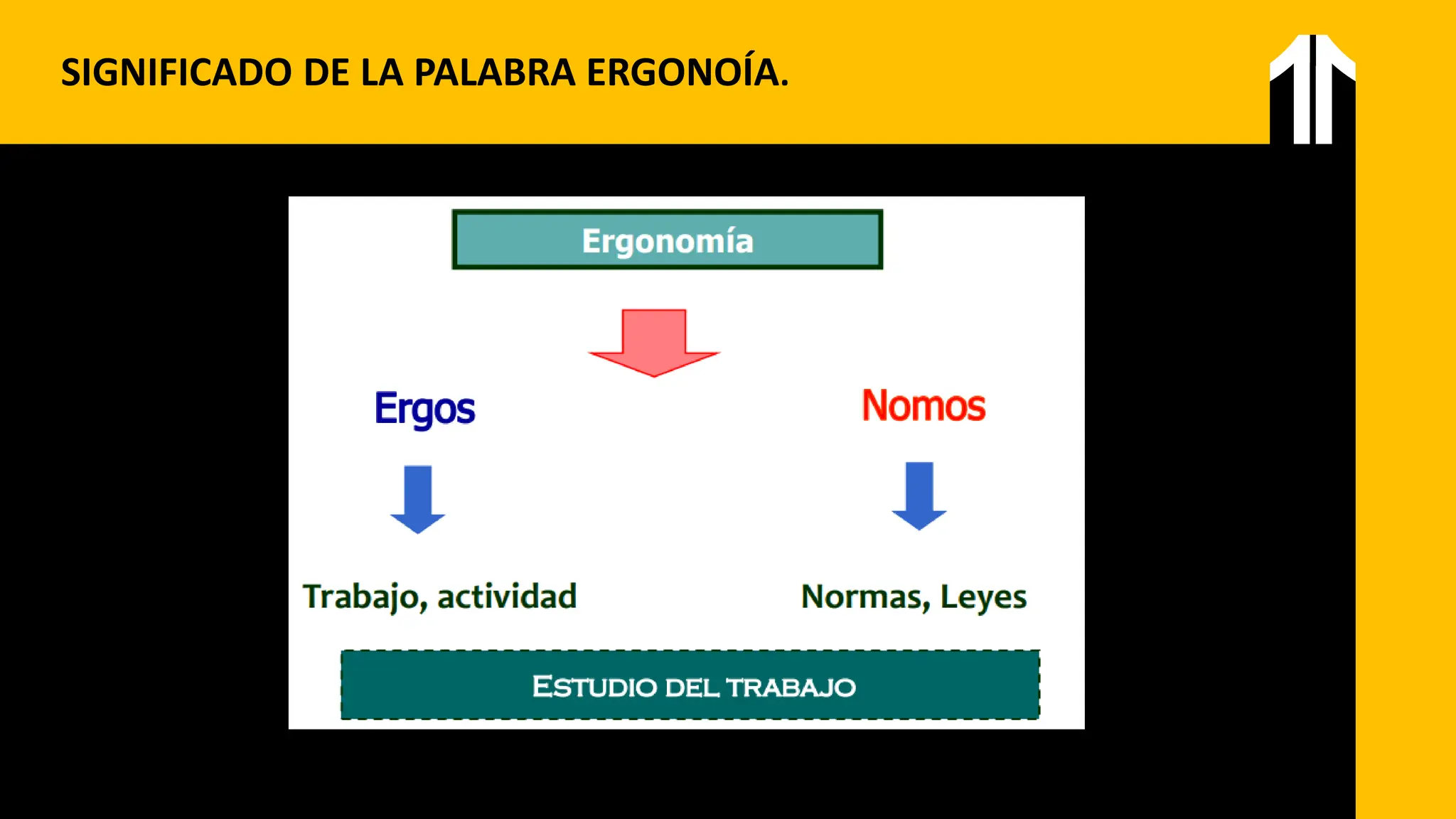 SEGURIDAD SALUD OCUPACIONAL ERGONOMIA UPN | PDF | Business | Business ...