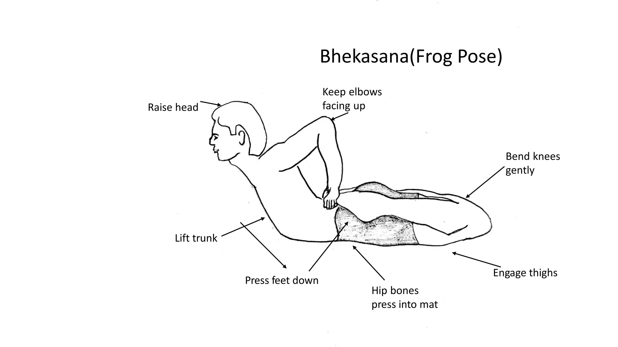 prone asana - Comprehensive understanding of prone asana | PDF