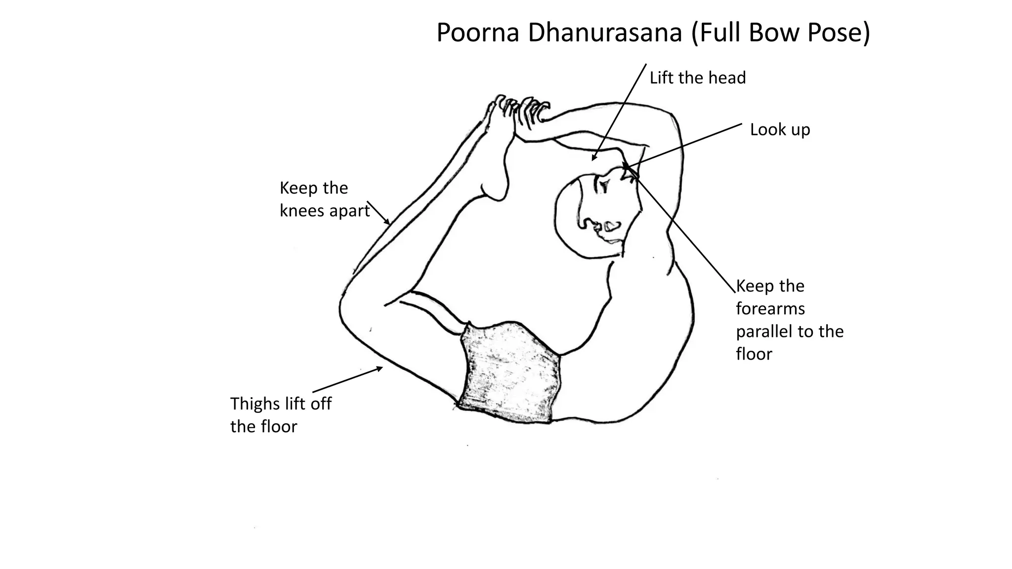 prone asana - Comprehensive understanding of prone asana | PDF