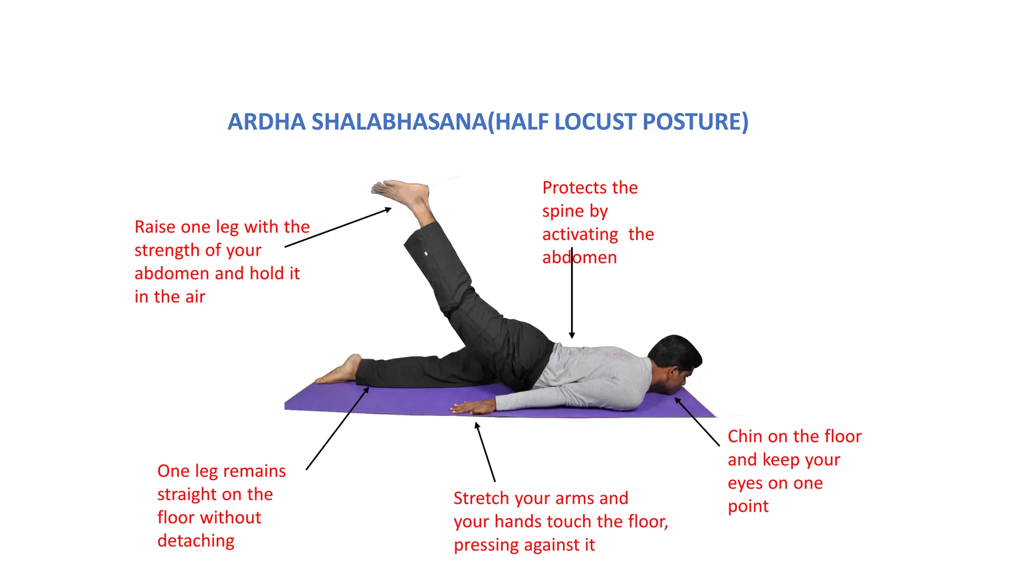 prone asana - Comprehensive understanding of prone asana | PDF