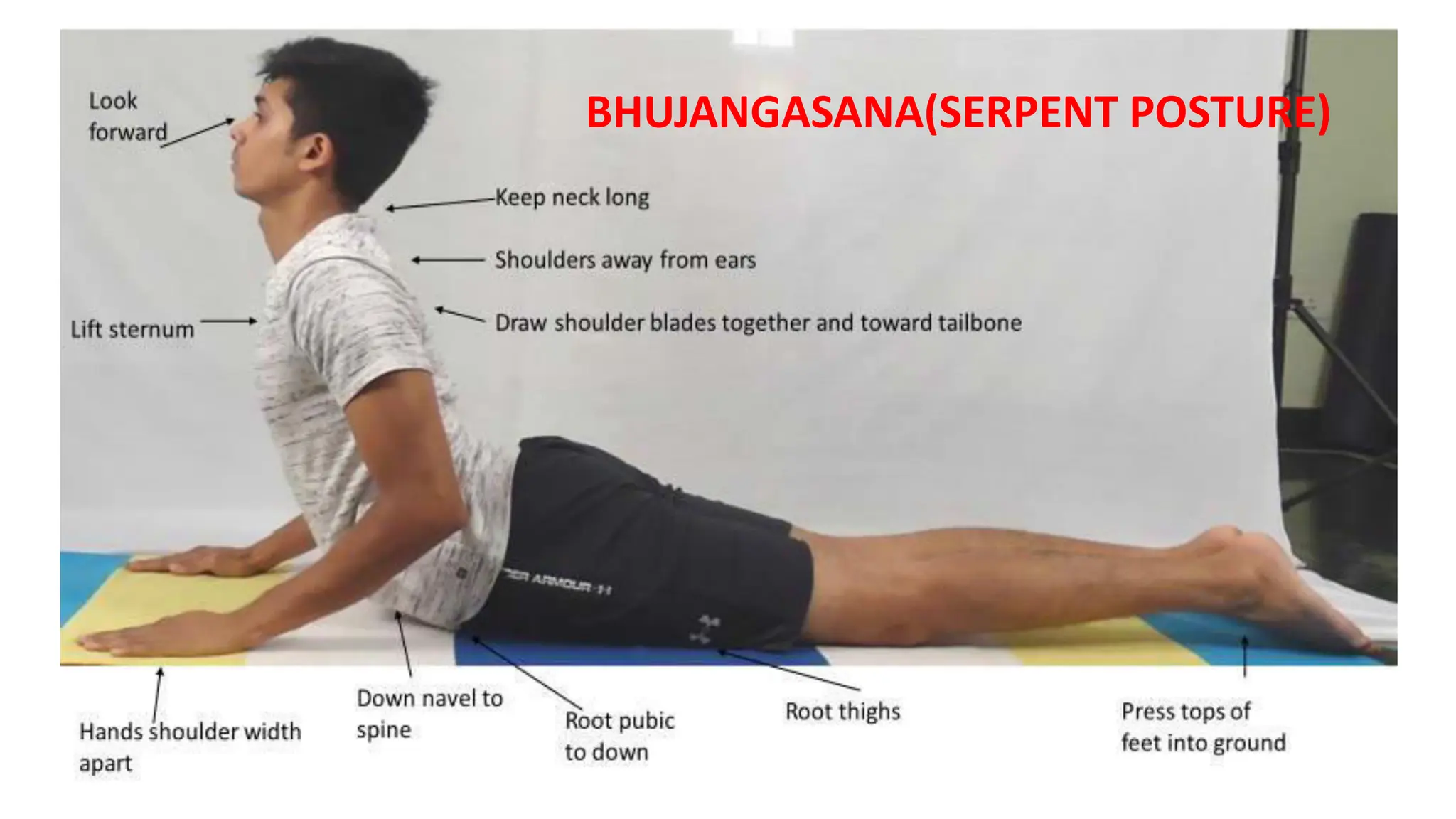 prone asana - Comprehensive understanding of prone asana | PDF