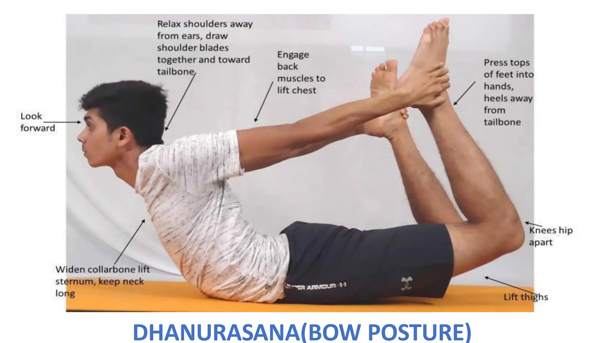 prone asana - Comprehensive understanding of prone asana | PDF