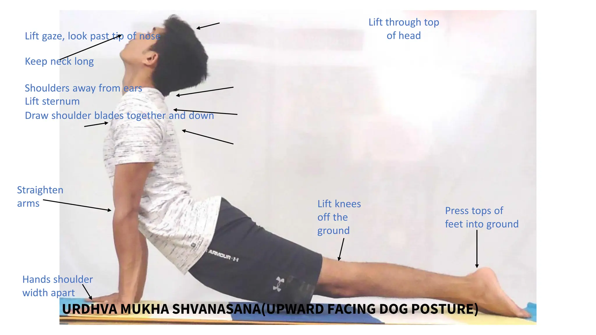 prone asana - Comprehensive understanding of prone asana | PDF