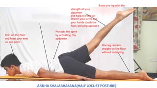 prone asana - Comprehensive understanding of prone asana | PDF