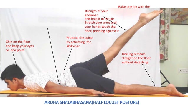 prone asana - Comprehensive understanding of prone asana | PDF | Lung ...