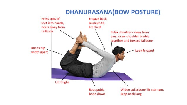 prone asana - Comprehensive understanding of prone asana | PDF | Lung ...