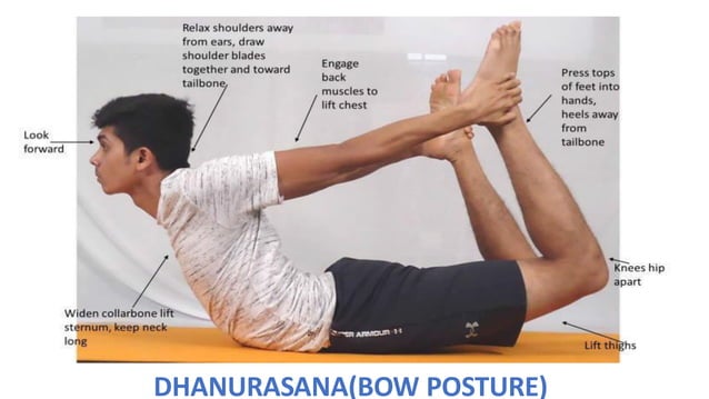 prone asana - Comprehensive understanding of prone asana | PDF | Lung ...