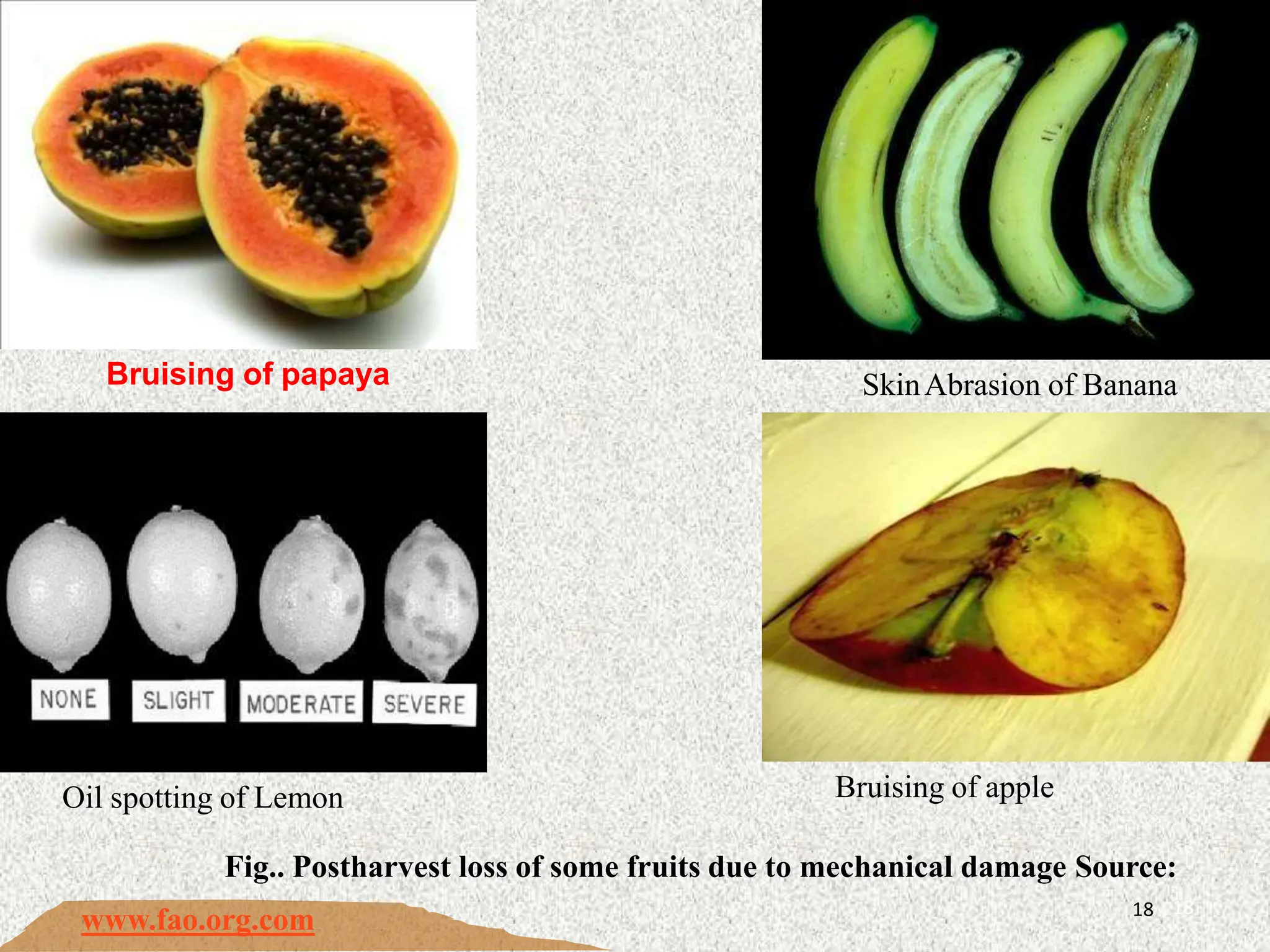 5. Postharvest deterioration of fruits and vegetables.pptx