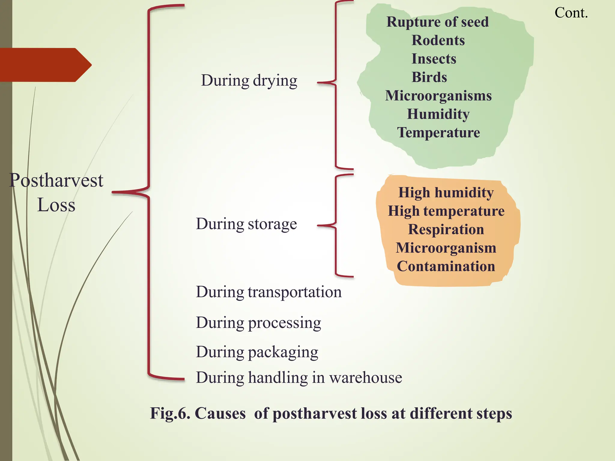 5. Postharvest deterioration of fruits and vegetables.pptx