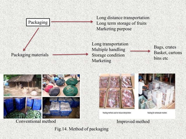 5. Postharvest deterioration of fruits and vegetables.pptx ...