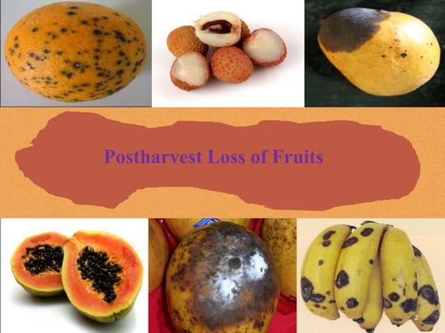 5. Postharvest deterioration of fruits and vegetables.pptx ...