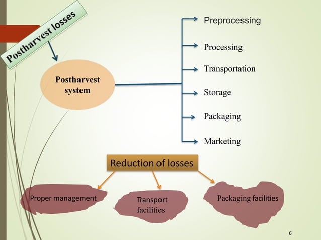 5. Postharvest deterioration of fruits and vegetables.pptx ...
