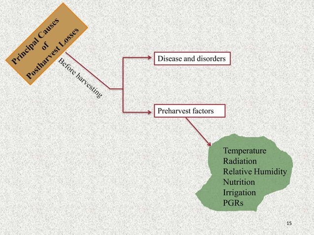 5. Postharvest deterioration of fruits and vegetables.pptx ...