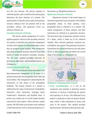 Protein: Structure and Function (The Agricultural Magazine) | PDF