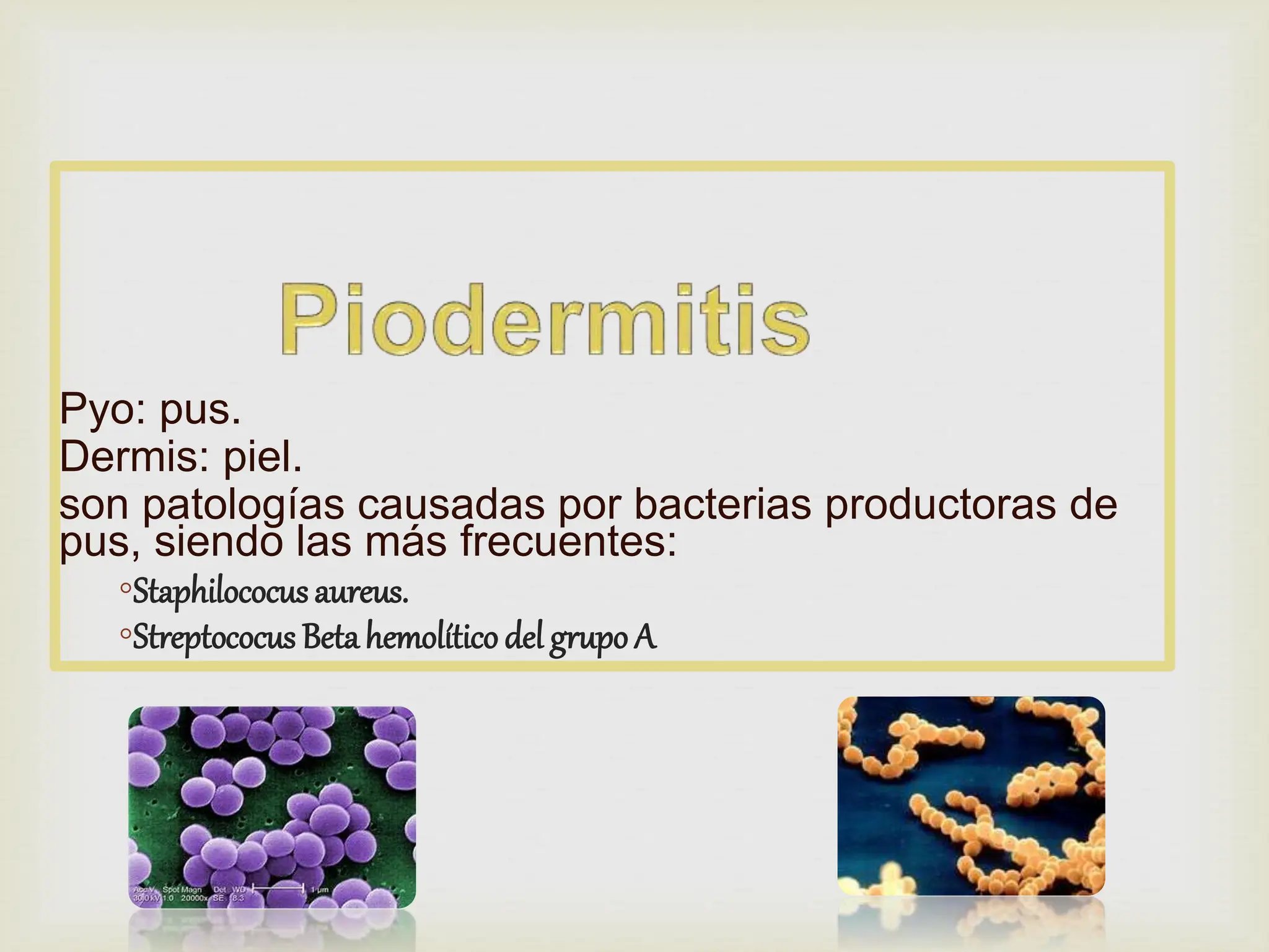 5.-PIODERMITIS, concepto y diagnostico.. | PPTX