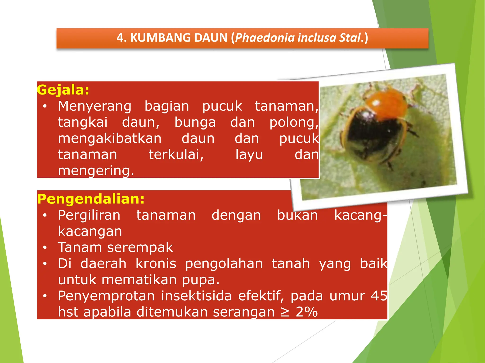 5. Pengenalan Hama dan MA pada Tanaman Pangan Lainnya.pptx