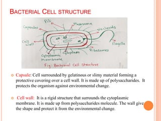 5. Fundamental principal of microbioology (2).pptx