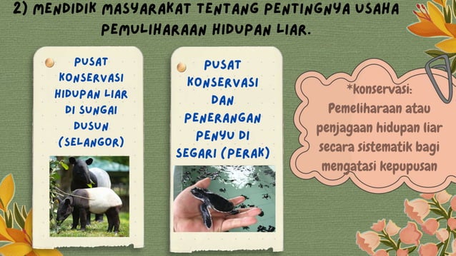 5.2 Kepentingan hidupan liar di malaysia.pptx
