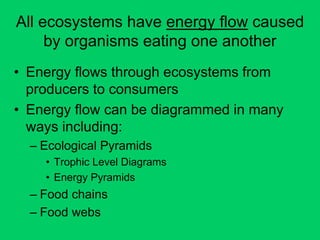 5. Energy Transfer in Ecosystems 0809 WEBSITE.ppt